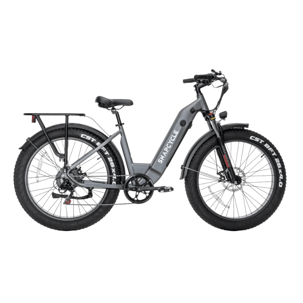 Cab Eagle Electric Bike | ppgbbe.intranet.biologia.ufrj.br